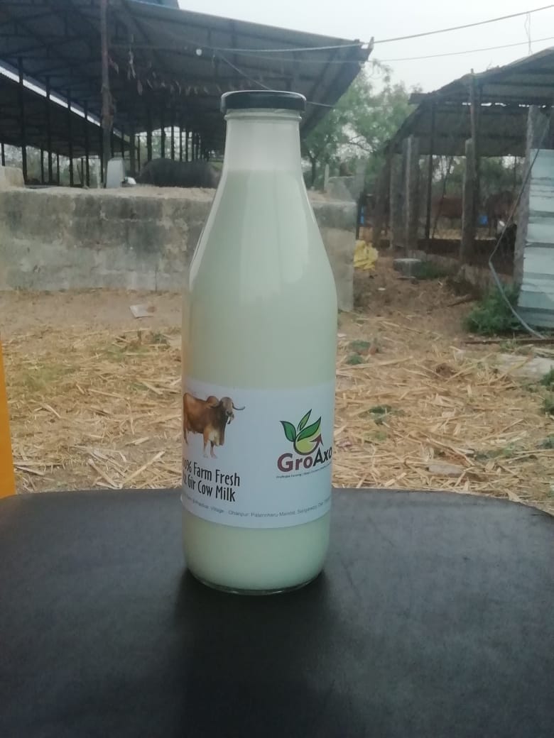 100 % Farm fresh A2- Gir Cow Milk (1 Liter)
